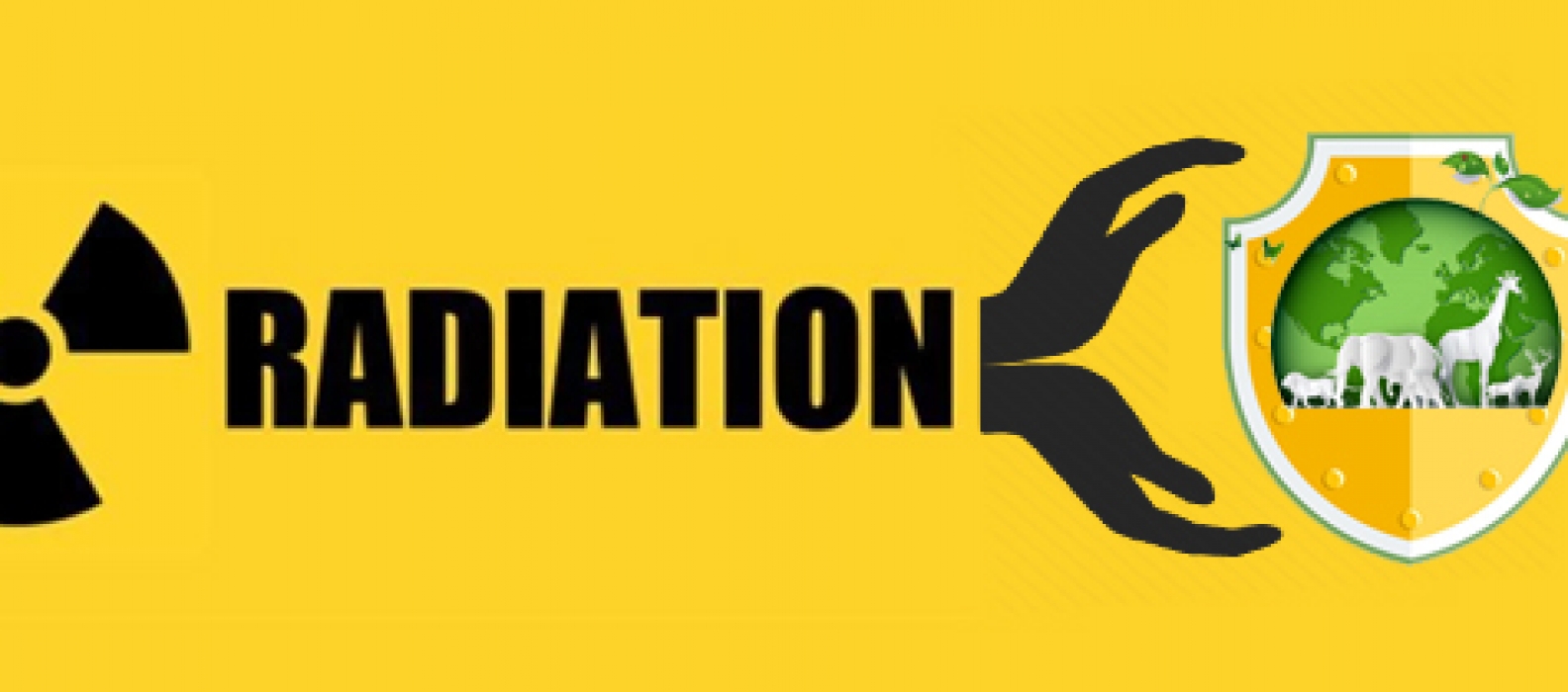 Radiation Safety Archives - Envolta